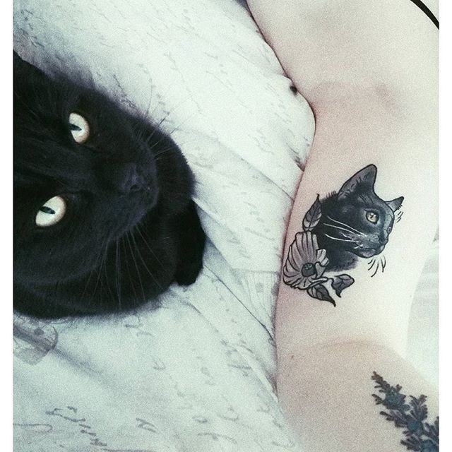 GIẢI MÃ NHỮNG ĐIỀU KÌ LẠ XUNG QUANH CHÚ MÈO ĐEN | Hướng dẫn | Ink